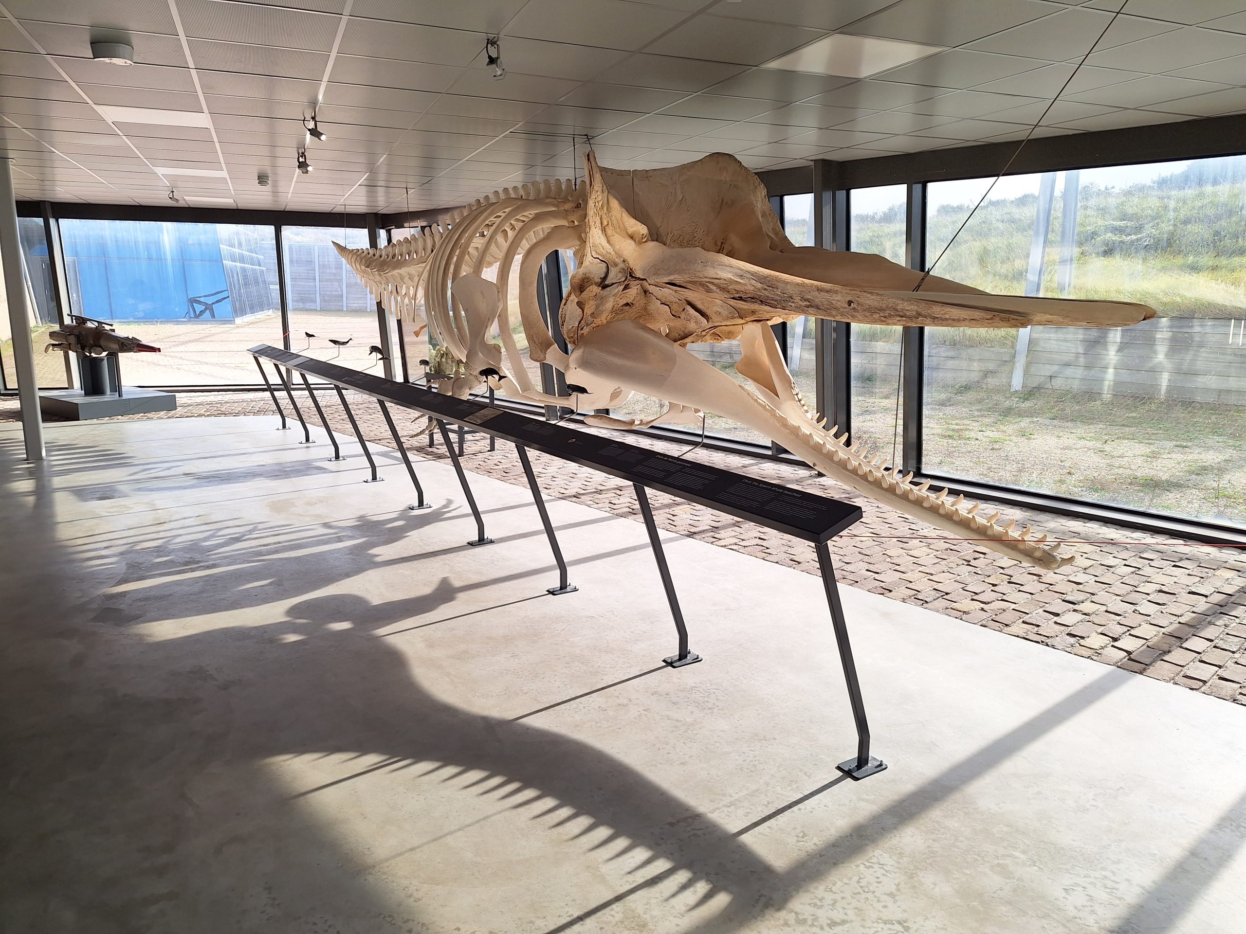 Expositie: Chris de Potvis en de Walvisvaarders - Fort Kijkduin